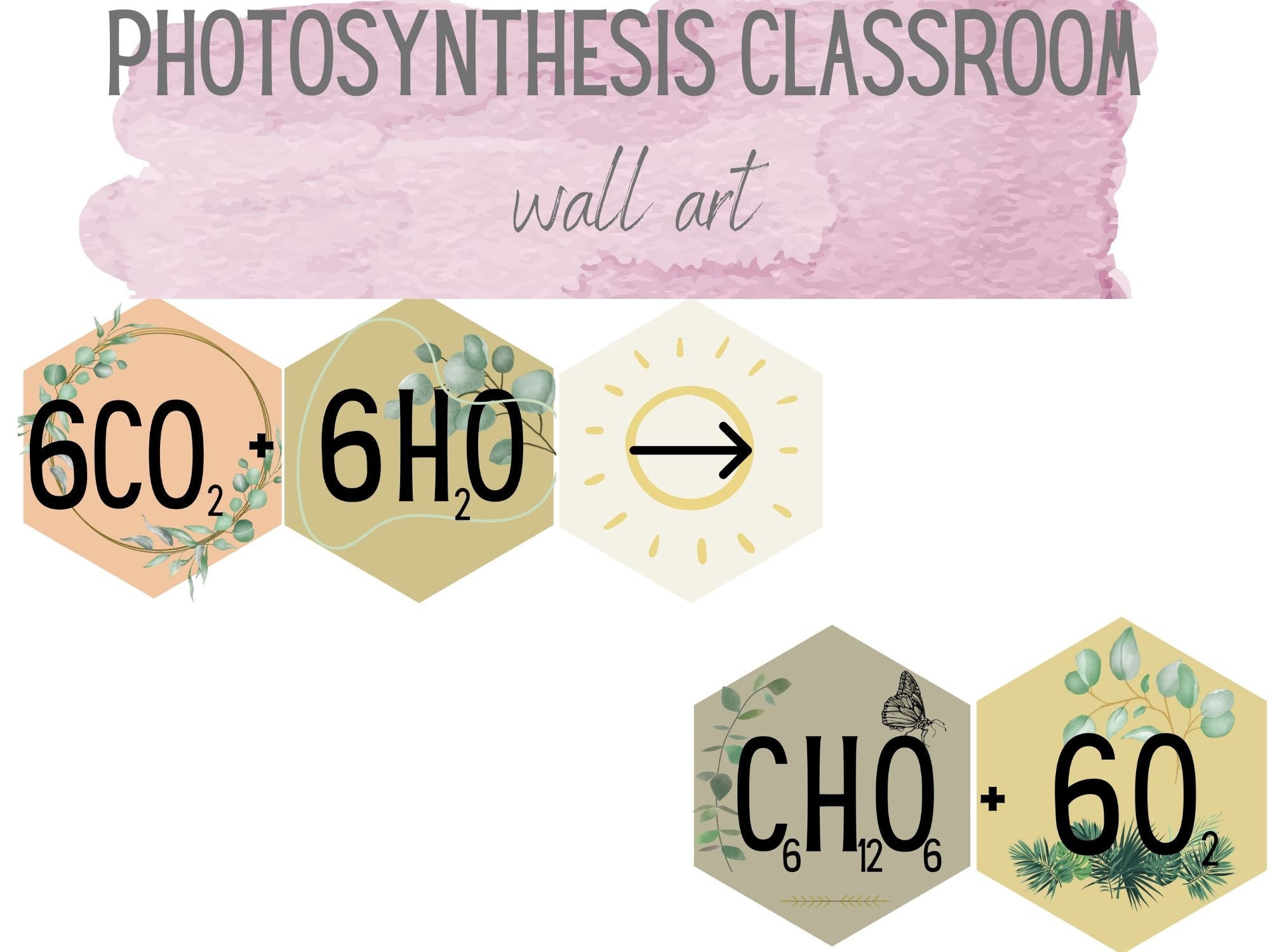 Photosynthesis Science Classroom Decor Wall Art Instant Download - Etsy