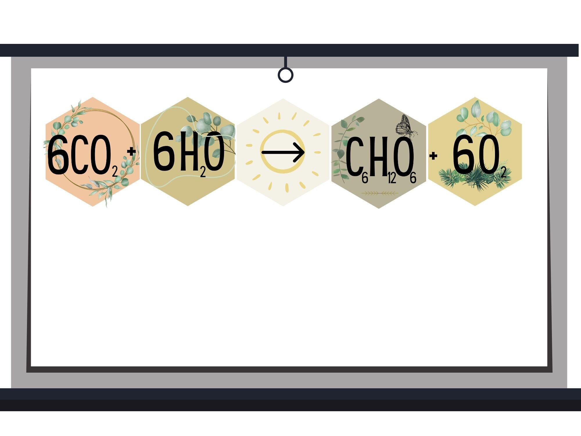Photosynthesis Science Classroom Decor Wall Art Instant Download - Etsy