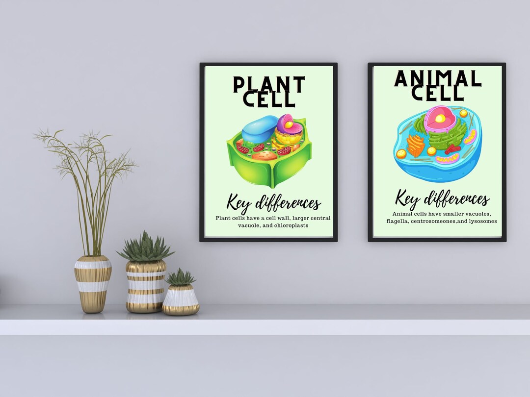 Plant Vs Animal Cell Wall Art Science Classroom Wall Decor - Etsy
