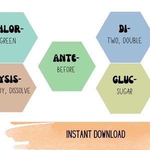 Science Classroom Wall Art Decor Prefixes for Biology - Etsy