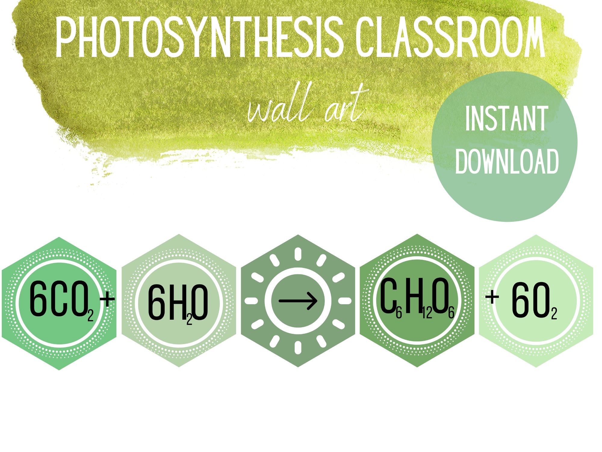 Photosynthesis Classroom Wall Art Decor Instant Download - Etsy