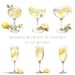 French 75 Watercolor Illustrations, 6 Watercolor French 75 Cocktails ...