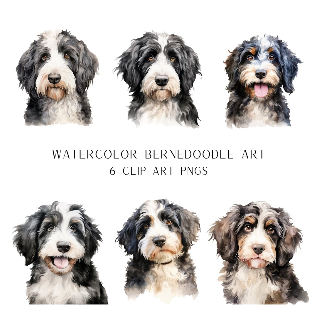 Watercolor Bernedoodle Illustrations, Bernedoodle Clipart, Watercolor ...