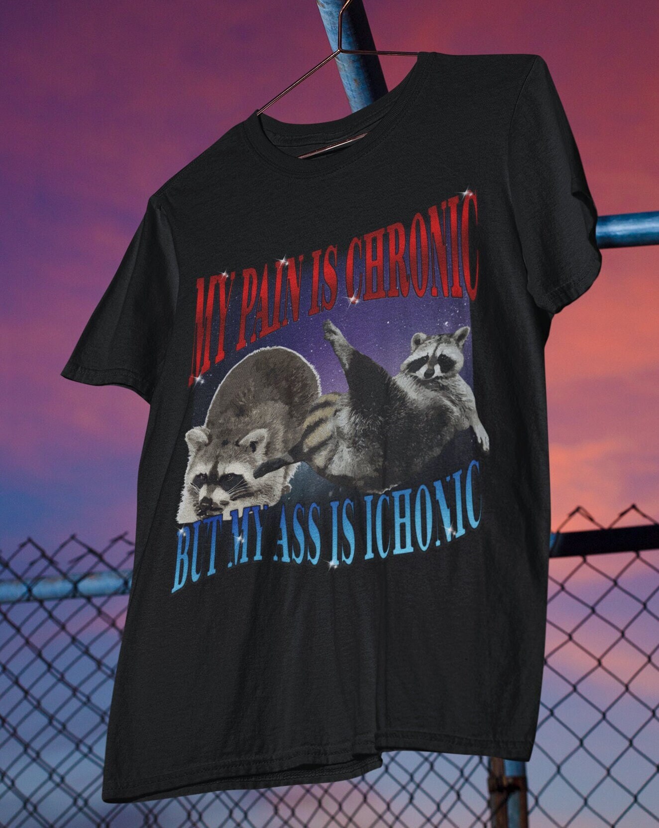 My Pain is Chronic but My Ass is Iconic Shirt,raccoon Tanuki,opossums ...