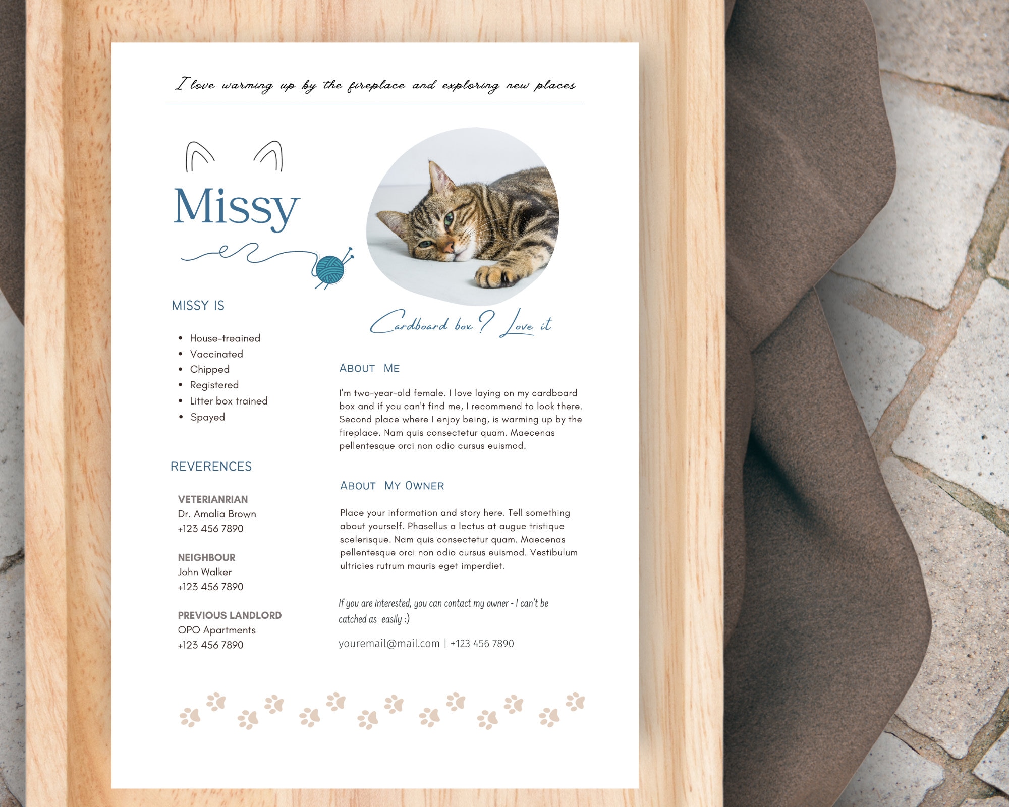 Resume Template With Photo for Cat, Minimalist Cat Resume Rental ...