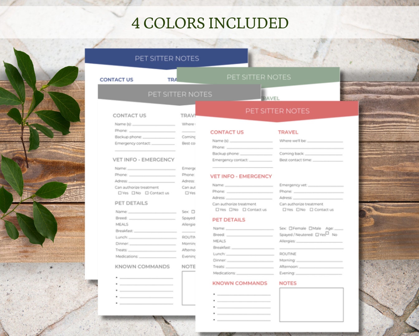 Resume Template With Photo for Cat, Minimalist Cat Resume Rental ...