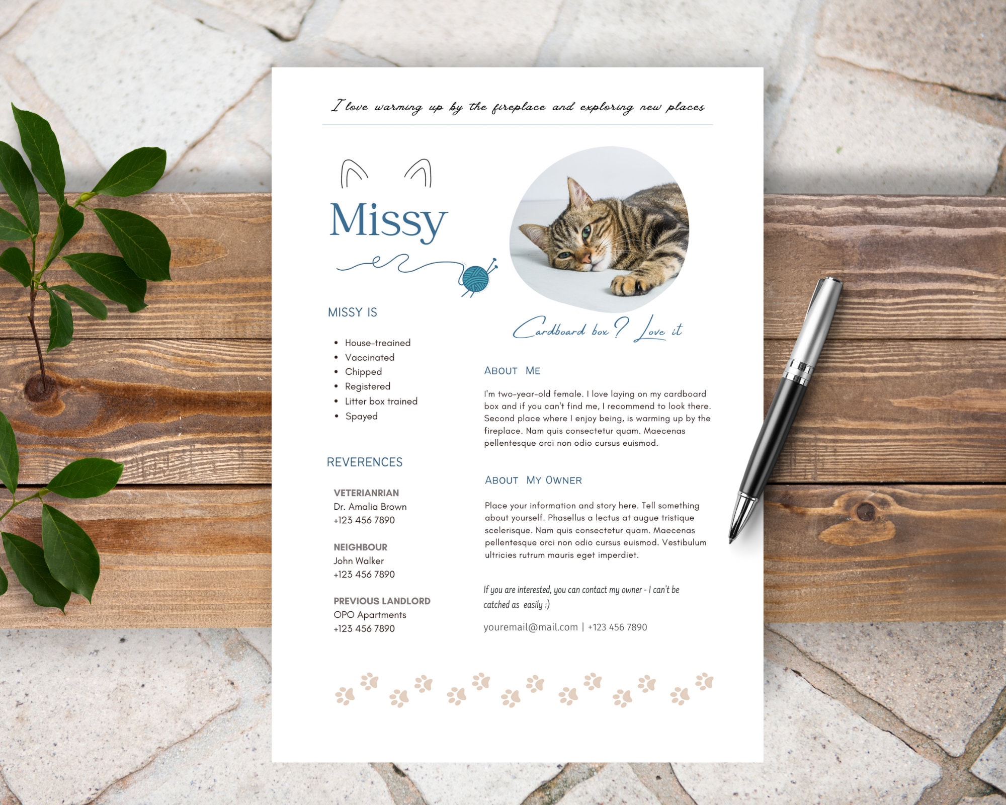 Resume Template With Photo for Cat, Minimalist Cat Resume Rental ...