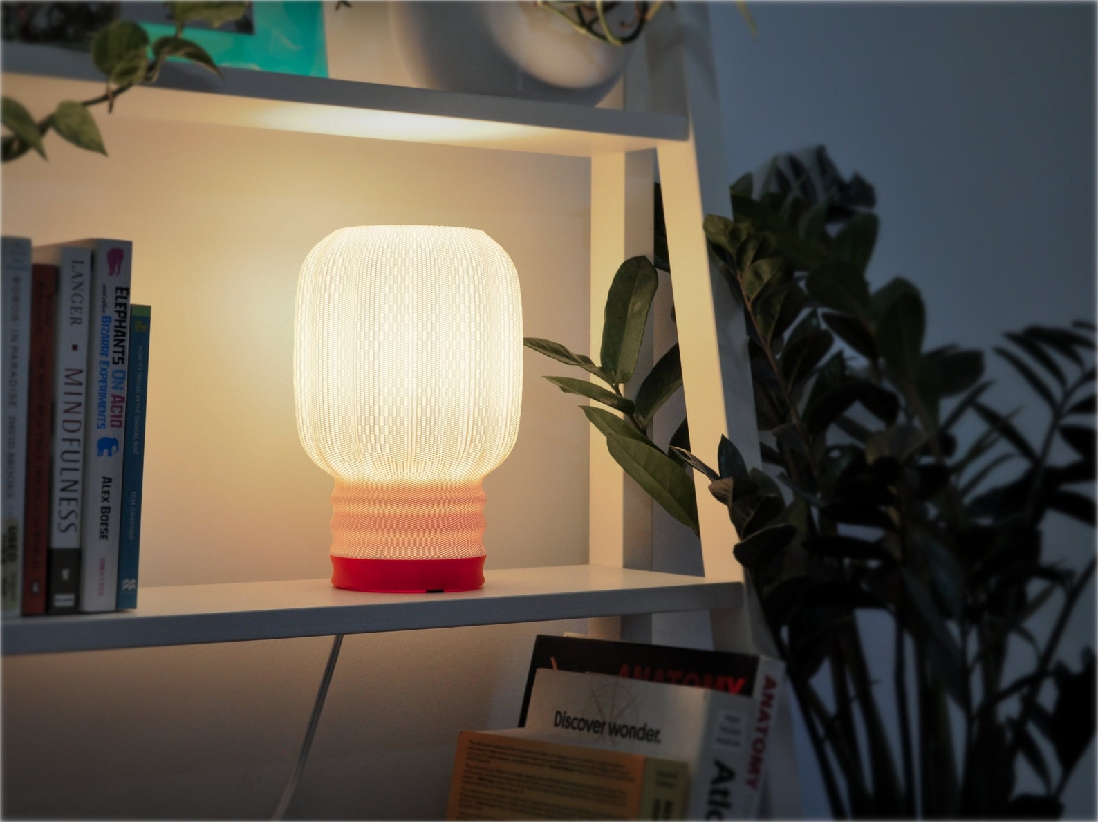 BURST LAMP Ambient Lighting Bedside Lamp, Small Modern Desk Lamp ...