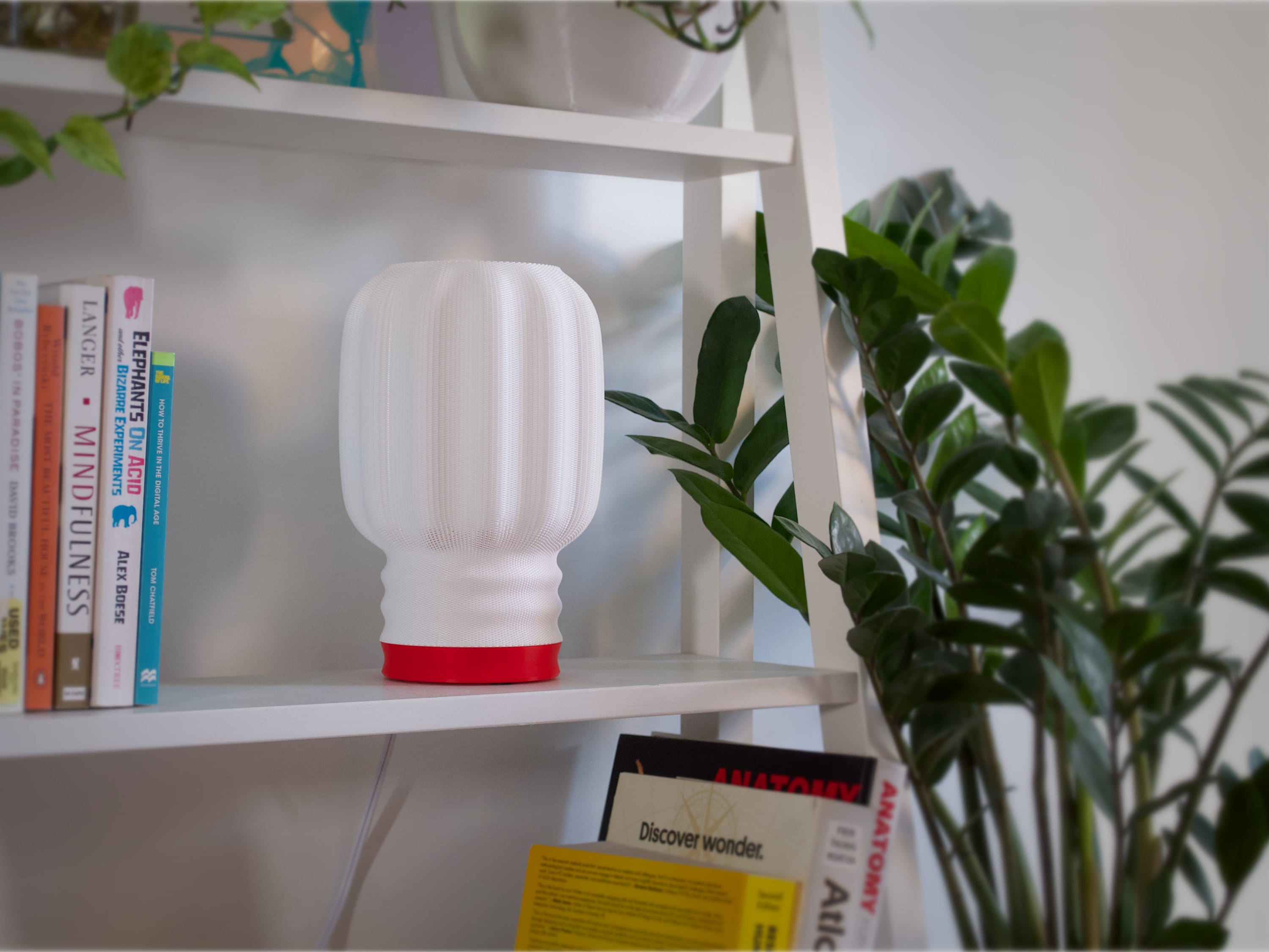 BURST LAMP Ambient Lighting Bedside Lamp, Small Modern Desk Lamp ...