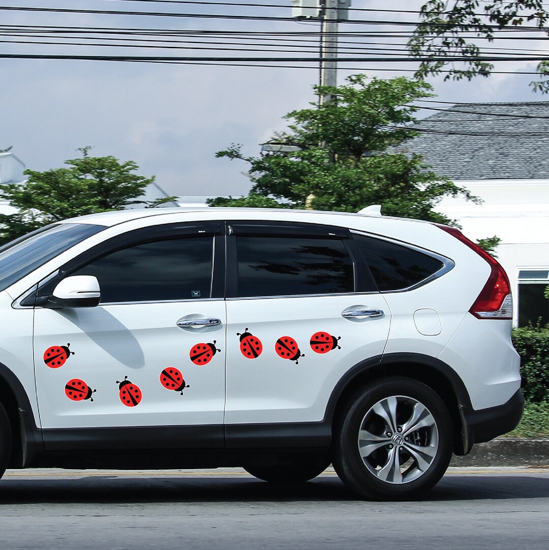 Lady Bug Magnets | Decorative Magnets | 8 Pieces - Etsy