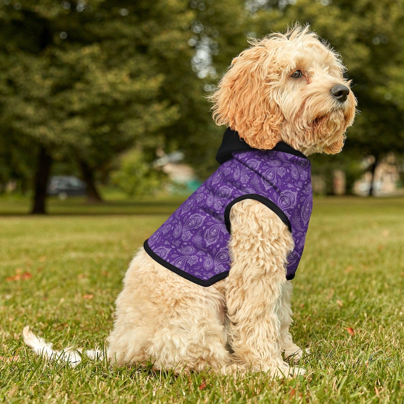 Purple Paisley Sweater - Etsy