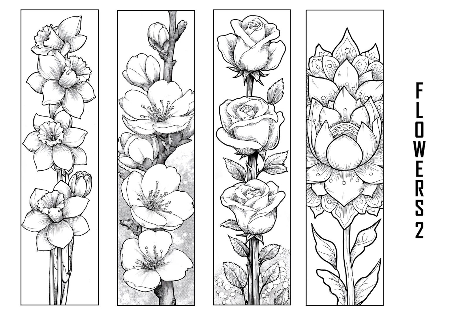 100 Bookmarks to Color, Coloring Pages for Adults + Teens, PDF Instant ...