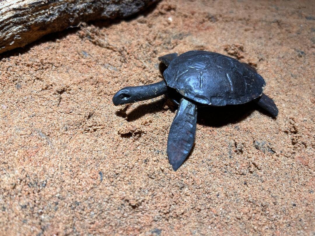 Wrought Iron Turtle Figurine Hand Made by a Blacksmith Using Recycled ...