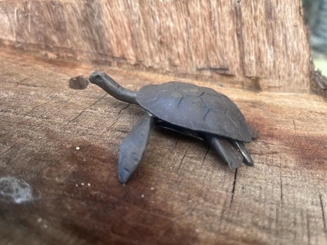 Wrought Iron Turtle Figurine Hand Made by a Blacksmith Using Recycled ...