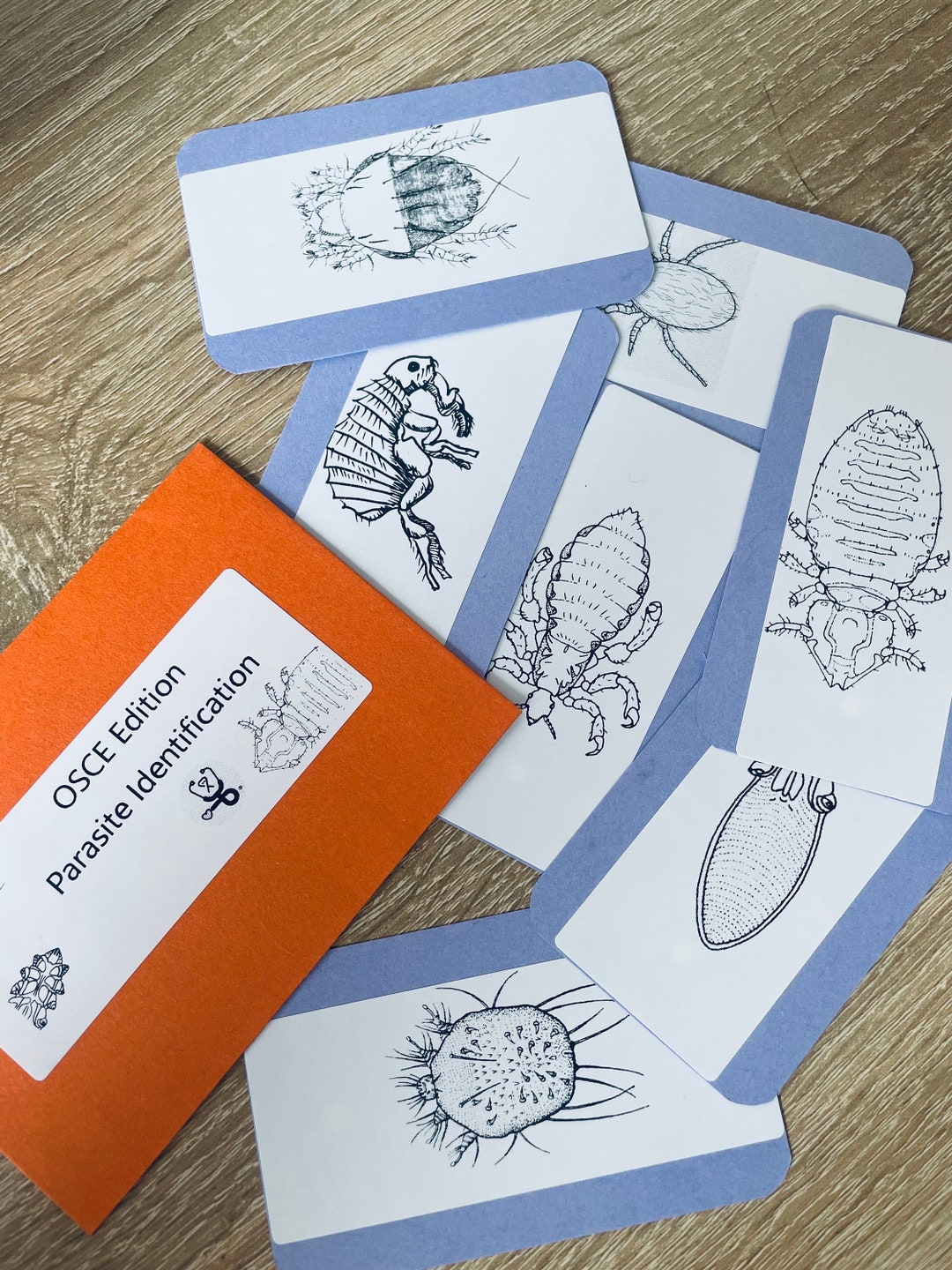 OSCE Edition : Parasite Identification - Etsy UK