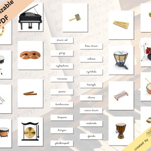 PERCUSSION INSTRUMENTS | Nomenclature / 3-part Cards • Realistic Photos ...