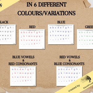Montessori Movable Alphabet With Consonant and Vowel Diagraphs, Print ...