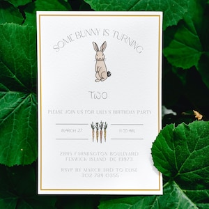 Invitation Bunny Birthday Digital Downland Invitation Rabbit Editable ...