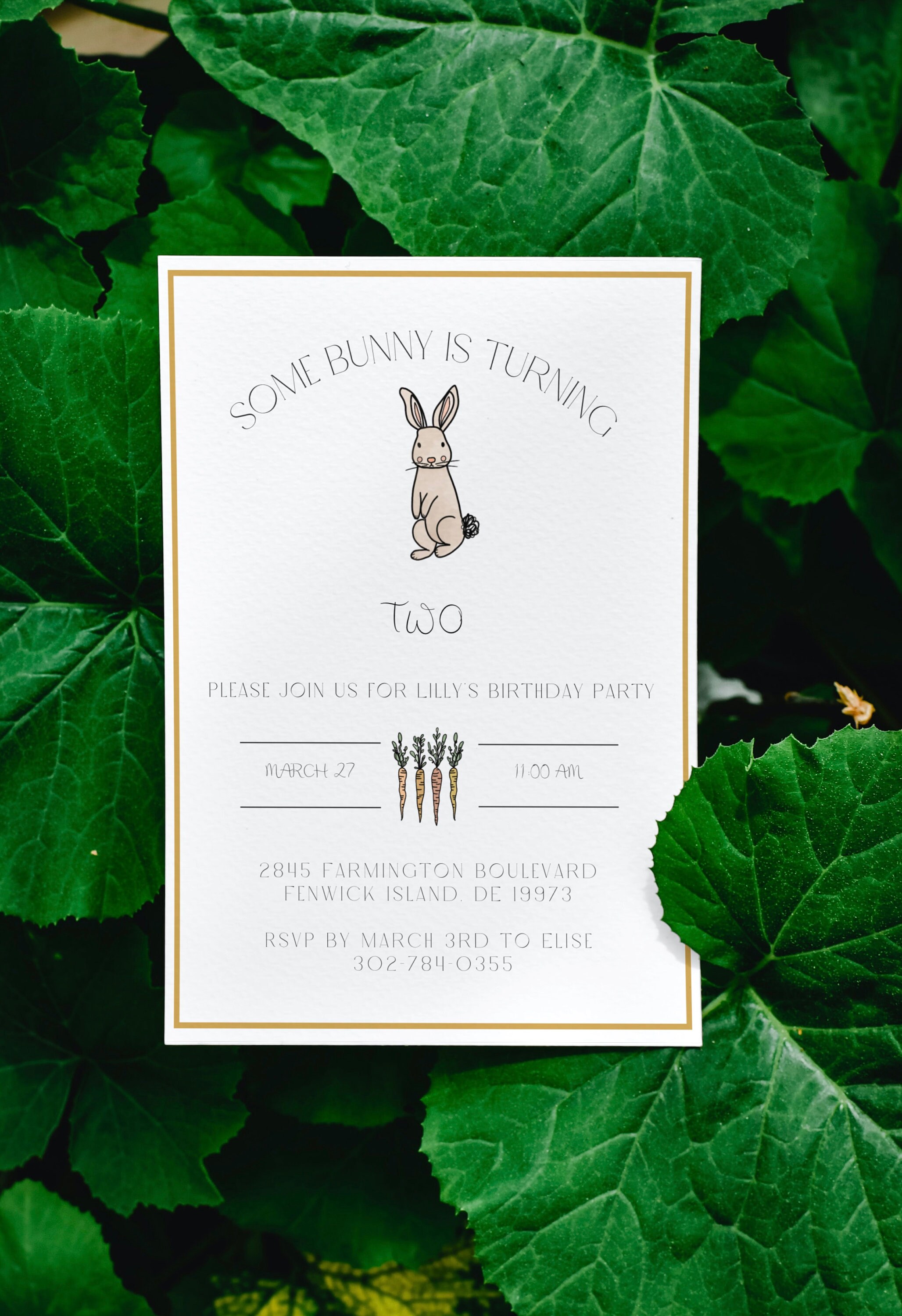 Invitation Bunny Birthday Digital Downland Invitation Rabbit - Etsy