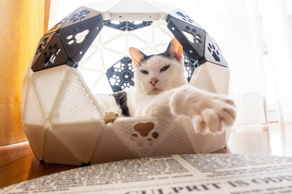 Dome Cat House Unique Design, Comfortable, Durable, Easy to Clean, Eco ...