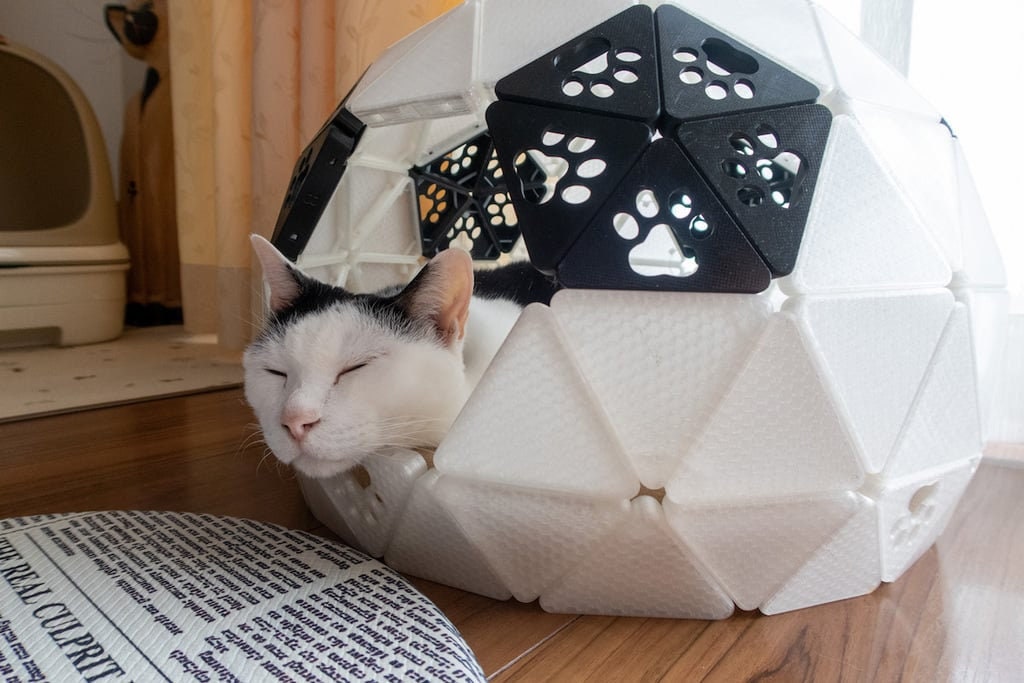 Dome Cat House Unique Design, Comfortable, Durable, Easy to Clean, Eco ...
