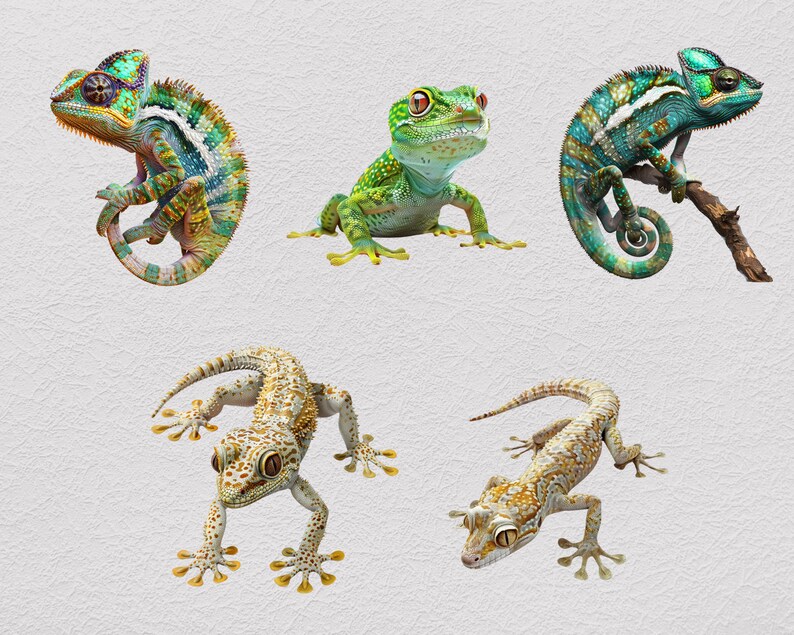 Reptiles Clipart PNG Bundle, Transparent Clip Art for Kids Activity ...