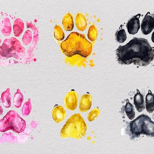 56 Watercolor Dog Paws Clip Art, Transparent PNG, Beautiful Dog Paws ...