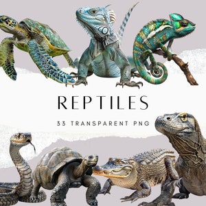 Reptiles Clipart PNG Bundle, Transparent Clip Art for Kids Activity ...