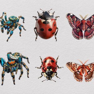 80 Beautiful Insect Clipart PNG, Bugs PNG, Bundle Transparent ...