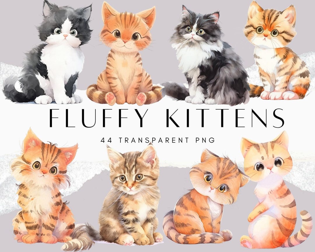 44 Fluffy Kittens Clipart, Kitten Family PNG, Cat Clipart, Cat PNG ...