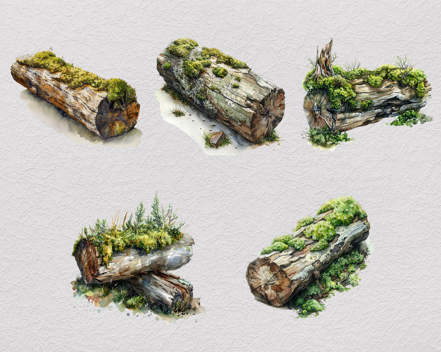 Moss Grown Log PNG, Green Clipart Bundle, Transparent PNG, Beautiful ...