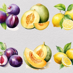 106 Watercolour Fruits Clipart Bundle,m, Fruits Clipart, Papaya, Kiwi ...