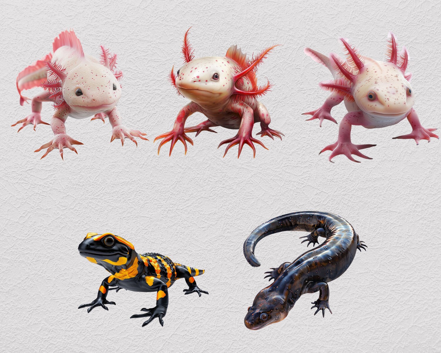 Amphibian Clipart PNG Bundle, Transparent Clip Art for Kids Activity ...