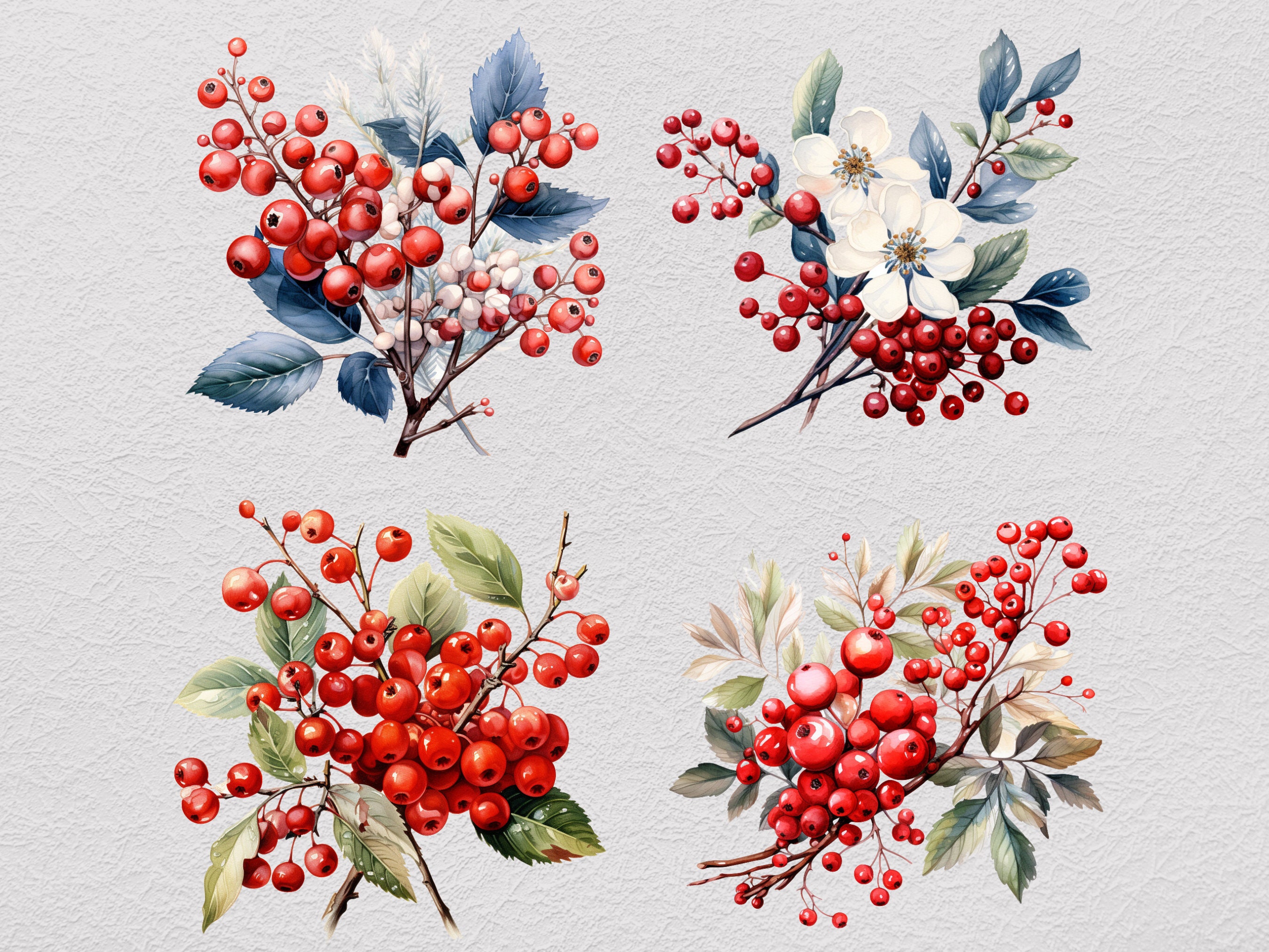 Winter Berries Clipart PNG, Berries PNG, Winter Clip Art, Scrapbook ...
