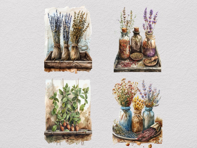 Dried Herbs PNG, Dried Herbs Clipart Bundle, Transparent PNG, Beautiful ...