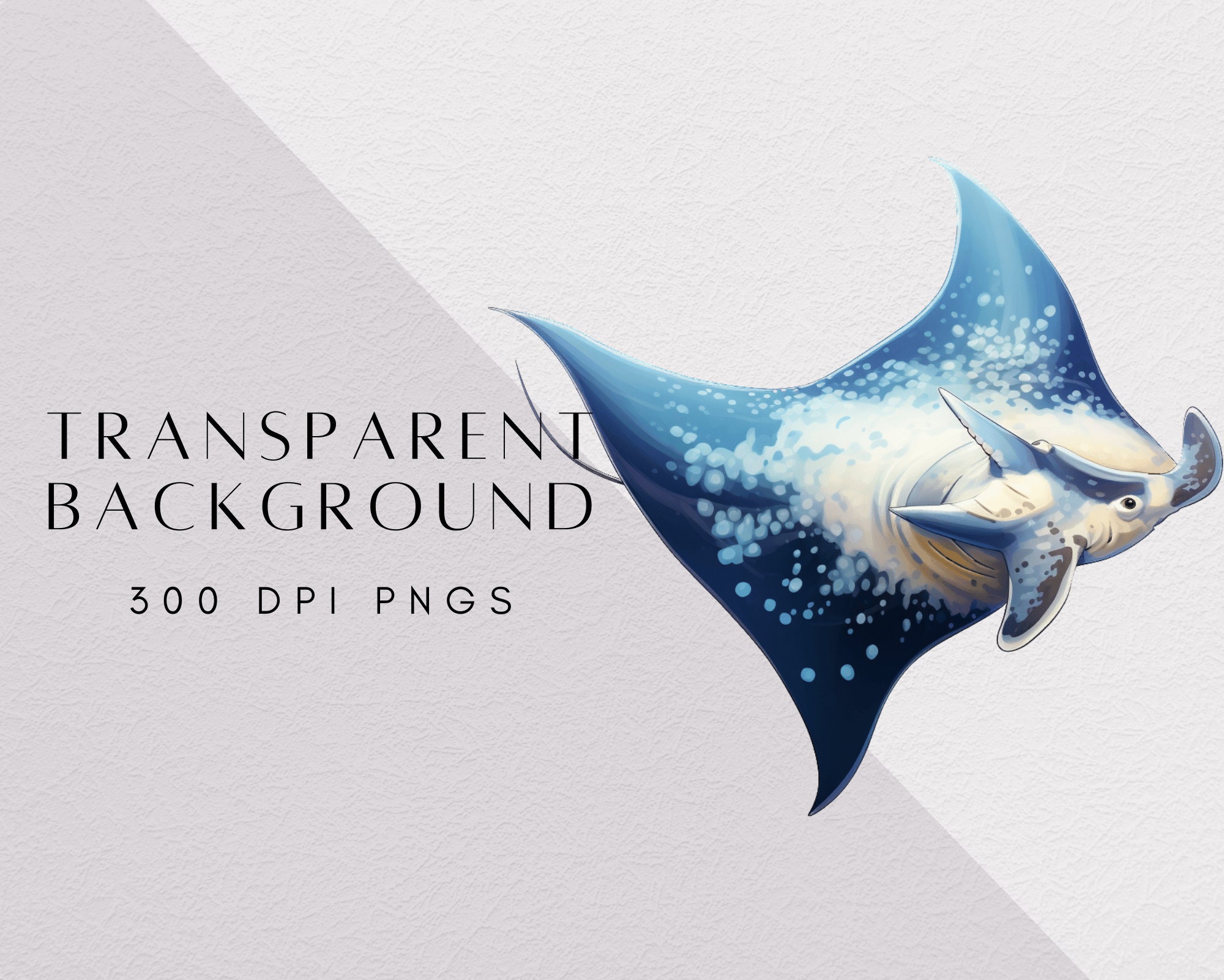 84 Sea Animals Clipart PNG Bundle, Transparent Clip Art for Kids ...
