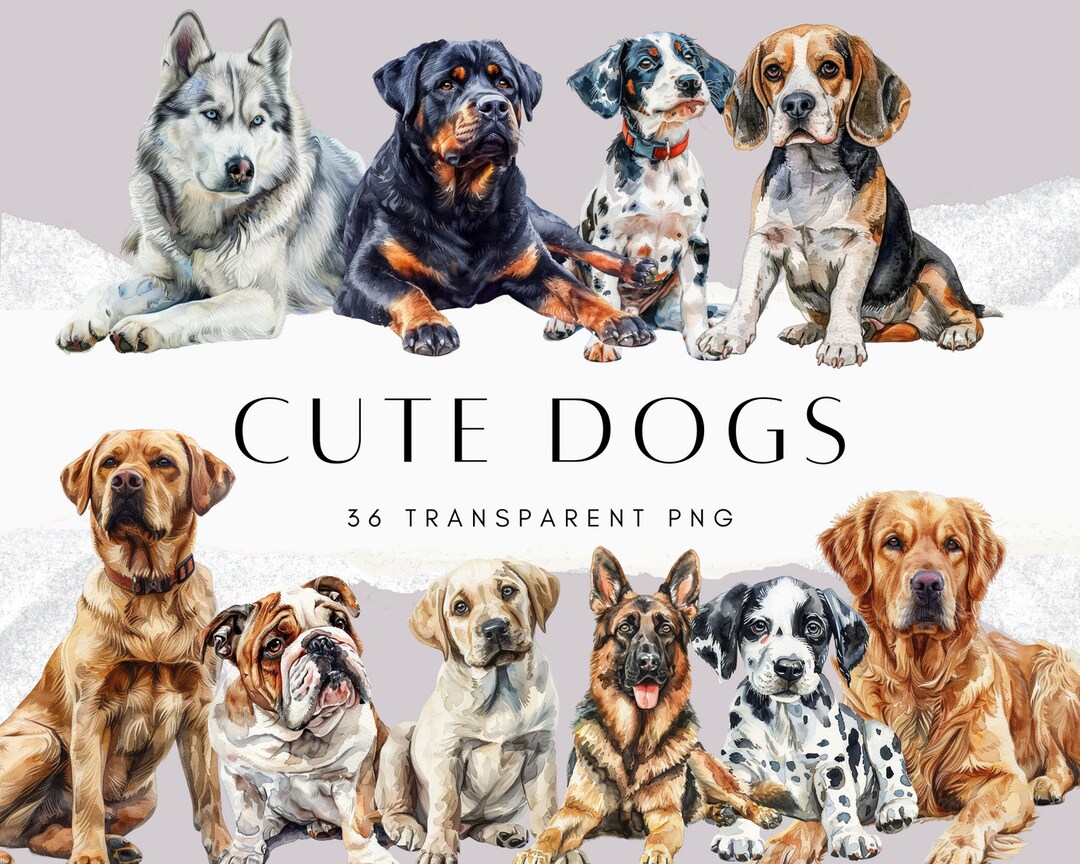 36 Cute Dogs Clipart PNG Bundle Transparent Background Clip Art for ...