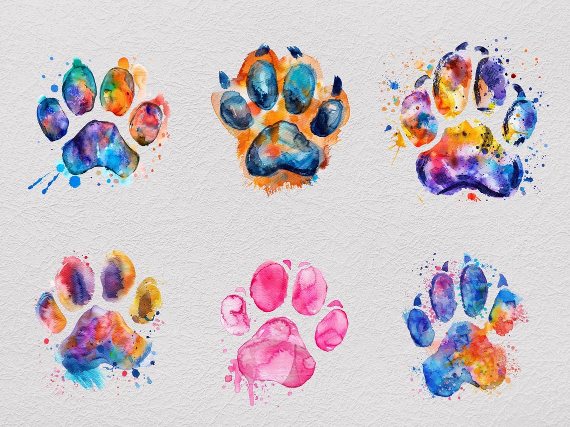 56 Dog Paws Clipart Bundle, Watercolour Paw Print PNG, Cute Dog Paw ...