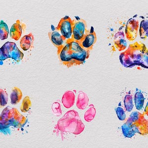 56 Watercolor Dog Paws Clip Art, Transparent PNG, Beautiful Dog Paws ...