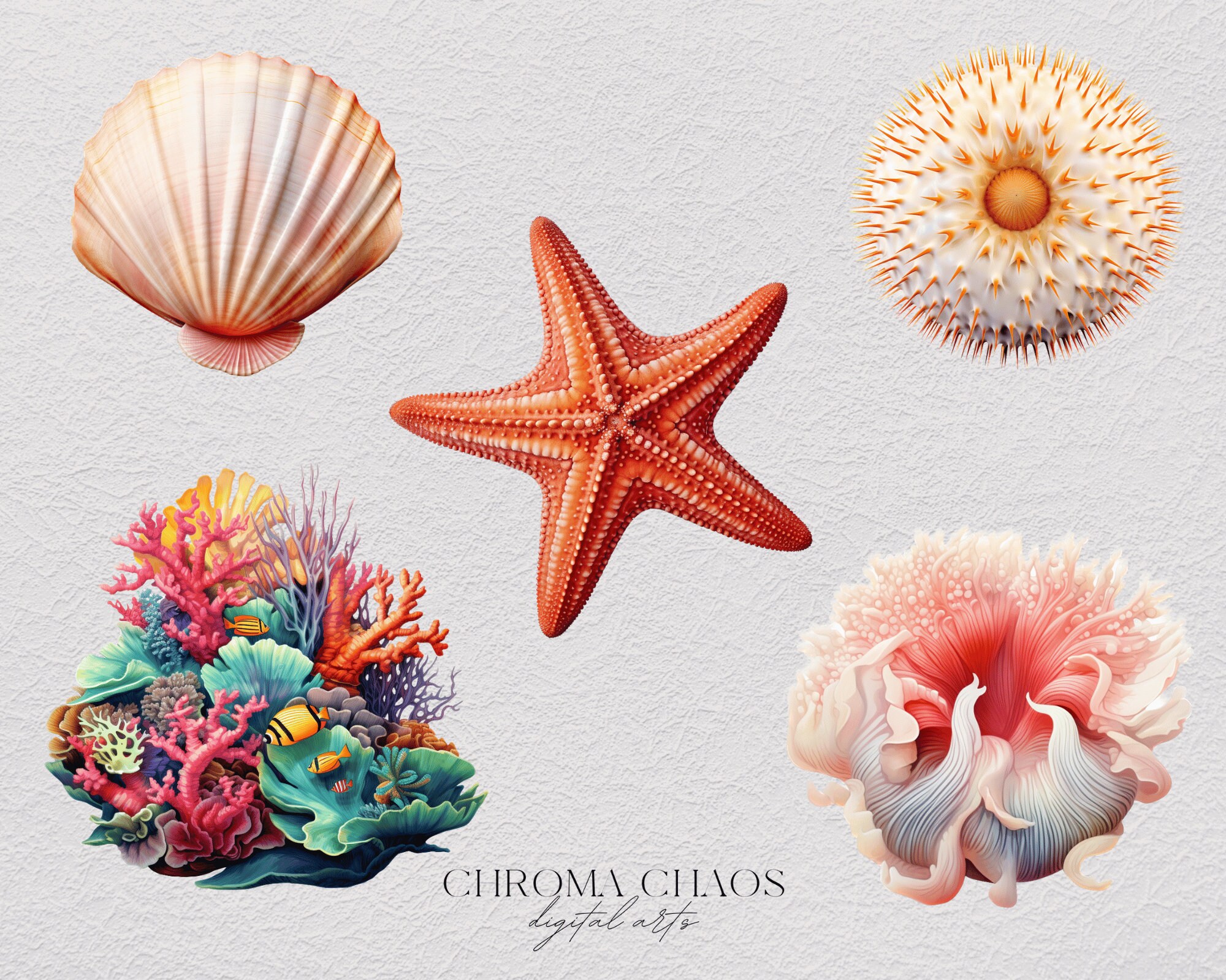 84 Sea Animals Clipart PNG Bundle, Transparent Clip Art for Kids ...
