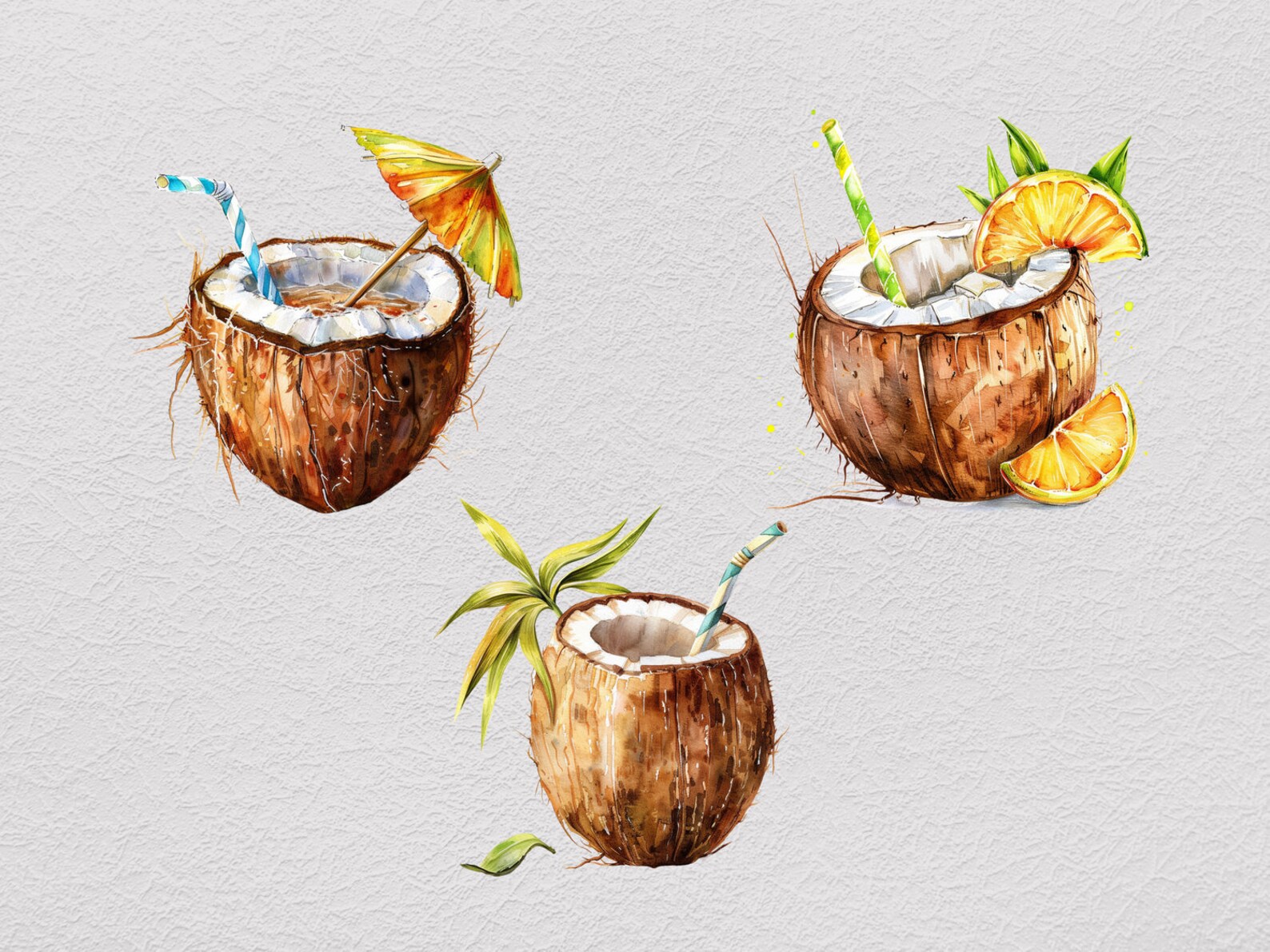 Summer Coconut Drinks Beach Clipart PNG Bundle Transparent Background ...