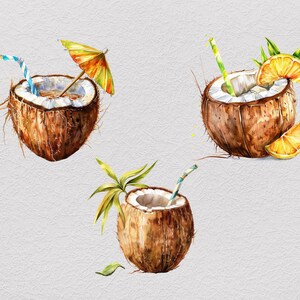 Summer Coconut Drinks Beach Clipart PNG Bundle Transparent Background ...