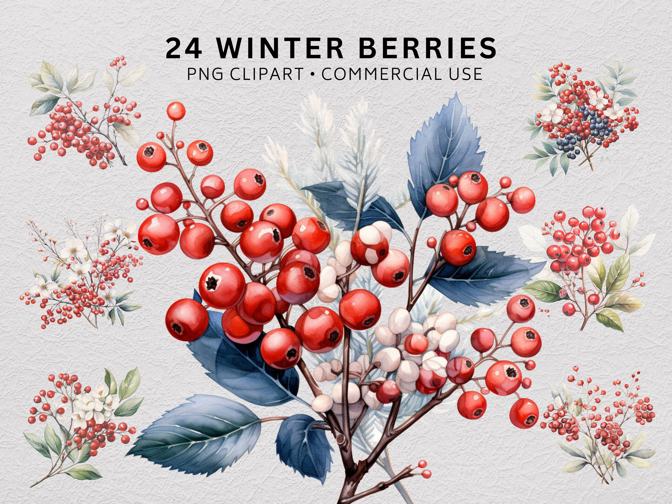 Winter Berries Clipart PNG, Berries PNG, Winter Clip Art, Scrapbook ...