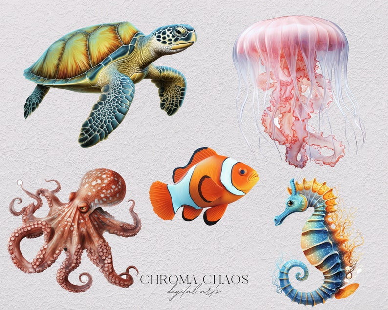 84 Sea Animals Clipart PNG Bundle Transparent Clip Art for - Etsy