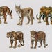 34 Big Cats Animals Clipart PNG Bundle Transparent Background Clip Art ...
