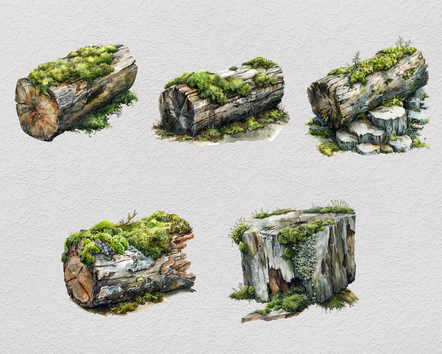 Moss Grown Log PNG, Green Clipart Bundle, Transparent PNG, Beautiful ...