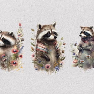 Cute Baby Raccoon Wearing a Scarf PNG, Watercolor Clipart, Transparent ...