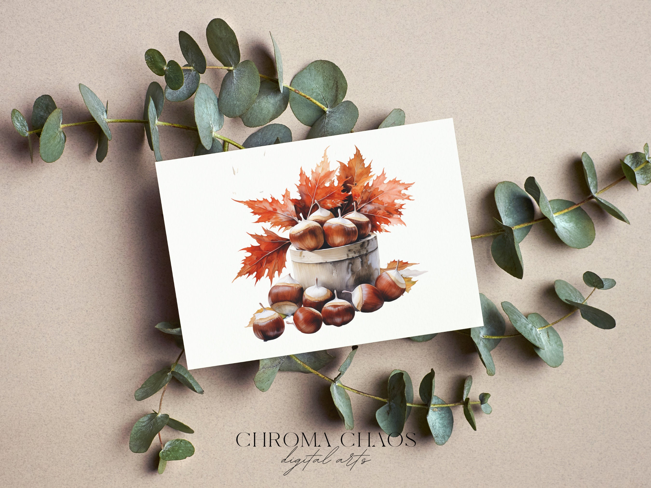 Winter Chestnuts Clipart PNG Chestnut PNG Winter Clip Art - Etsy