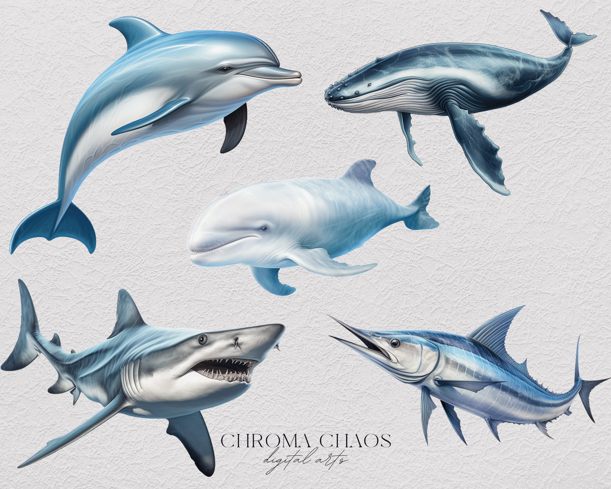 84 Sea Animals Clipart PNG Bundle, Transparent Clip Art for Kids ...