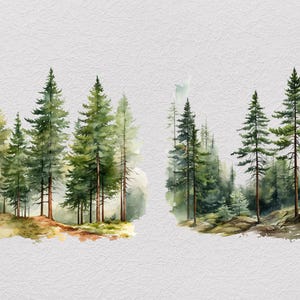 Pine Tree Forest Clipart Bundle, Transparent PNG, Beautiful Watercolor ...
